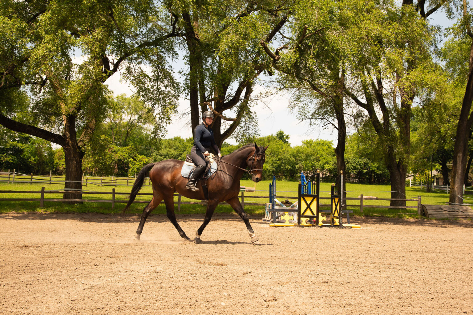Our Services • Johnson Equestrian Center